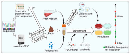 Isolation and Cultivation of Human Gut Microorganisms: A Review