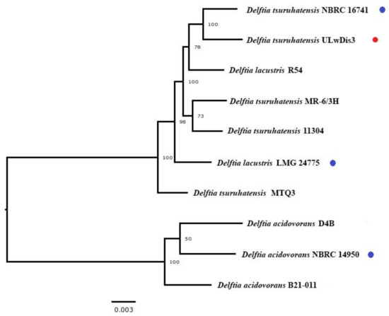 Characterization and Genomic Analysis of the Naphthalene-Degrading ...