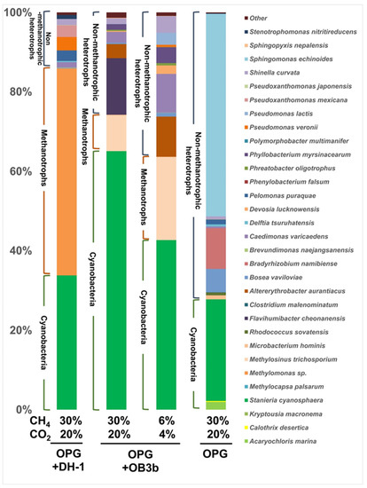 Polyhydroxybutyrate Production from Methane and Carbon Dioxide by a ...