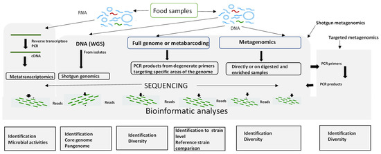 A Review of Modern Methods for the Detection of Foodborne Pathogens