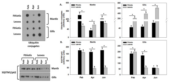 Seasonality in Synergism with Multi-Pathogen Presence Leads to Mass ...