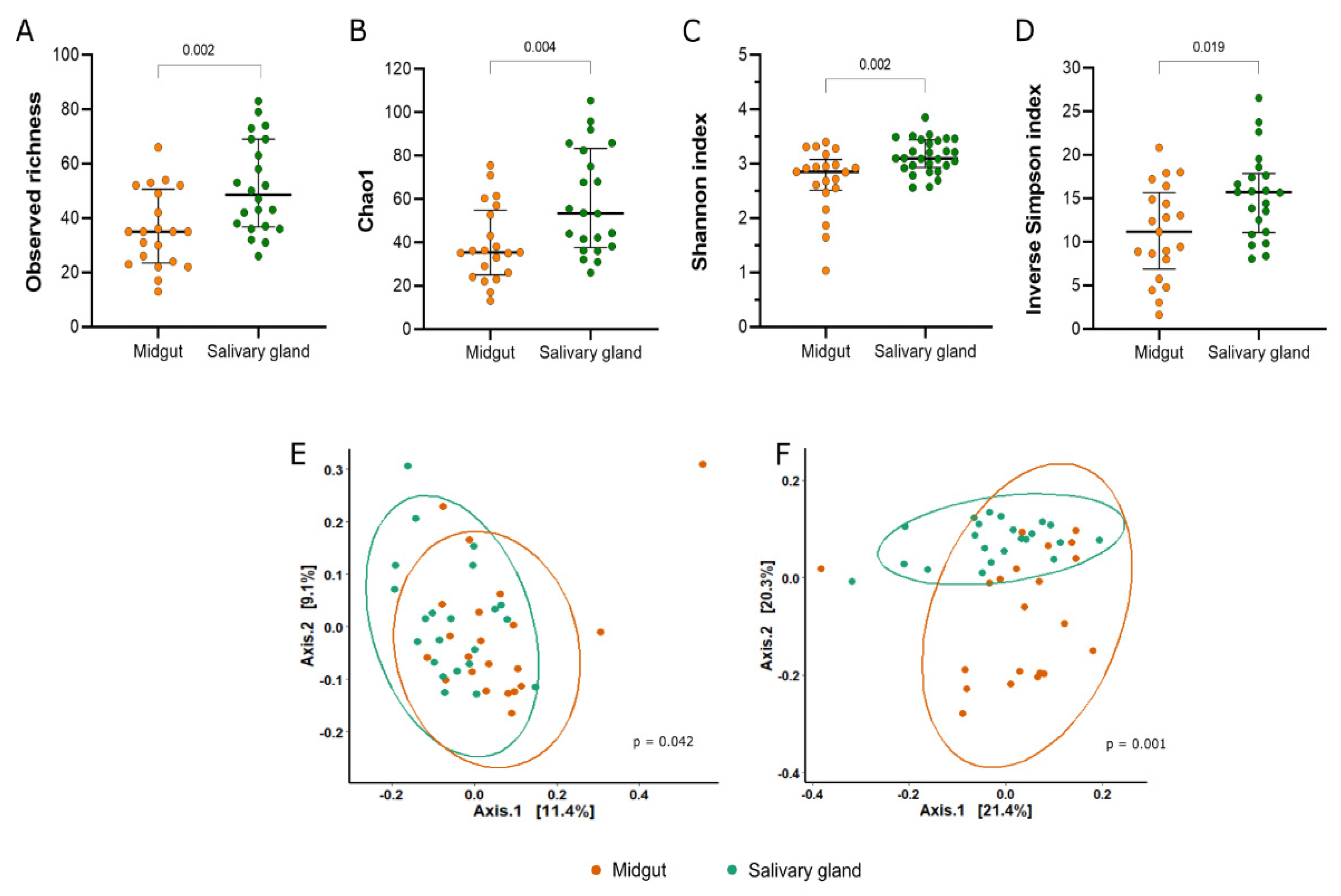 Bacterial Microbiota from Lab-Reared and Field-Captured Anopheles darlingi Midgut and Salivary Gland