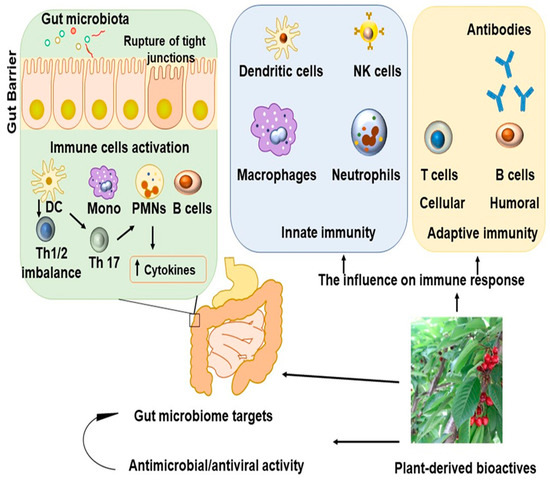Insights into Antimicrobial and Anti-Inflammatory Applications of Plant Bioactive Compounds