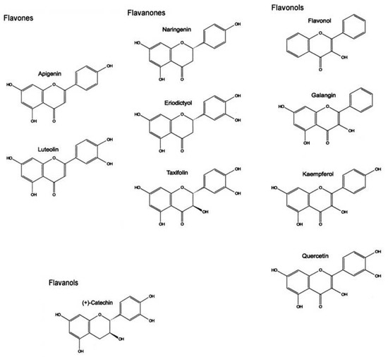 Insights into Antimicrobial and Anti-Inflammatory Applications of Plant ...