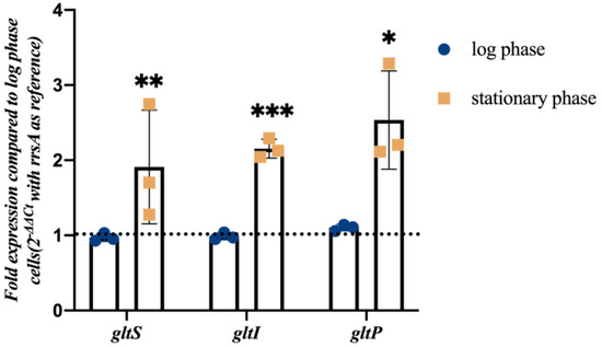 Glutamate Transporters GltS, GltP and GltI Are Involved in Escherichia ...