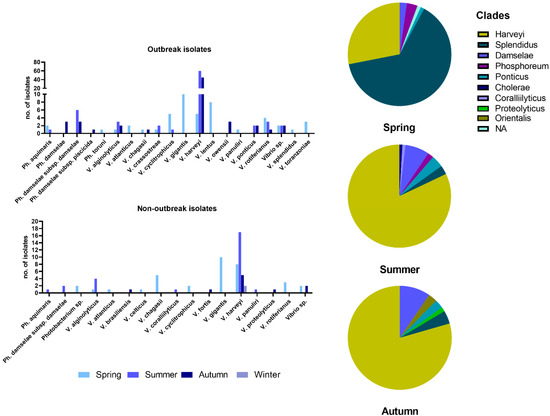 Pathogenic and Opportunistic Vibrio spp. Associated with Vibriosis ...