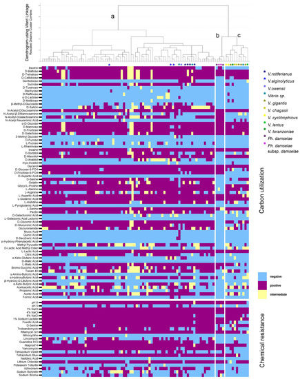 Pathogenic and Opportunistic Vibrio spp. Associated with Vibriosis ...