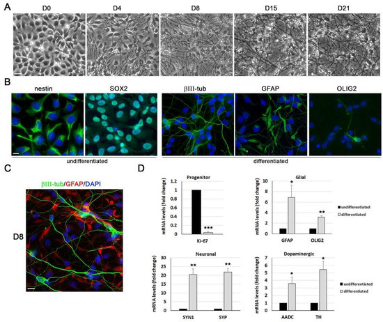Herpes Simplex Virus Type 1 Induces AD-like Neurodegeneration Markers ...