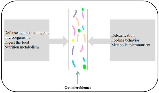 Research Progresses on the Function and Detection Methods of Insect Gut ...