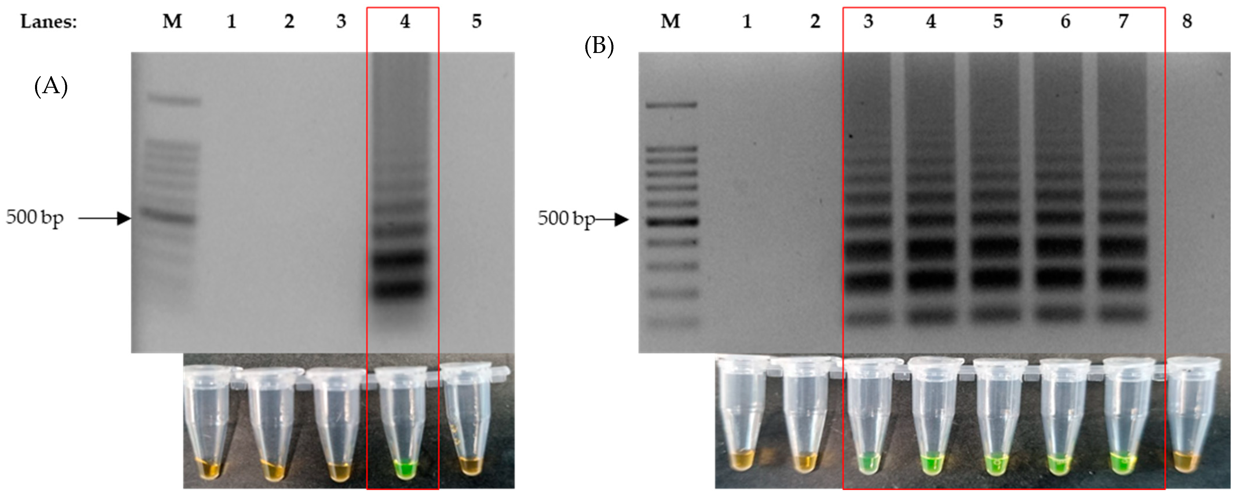 Multiplexed Reverse Transcription Loop-Mediated Isothermal Amplification Coupled with a Nucleic ...