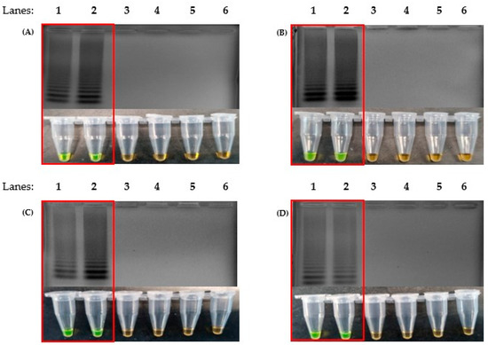 Multiplexed Reverse Transcription Loop-Mediated Isothermal Amplification Coupled with a Nucleic ...