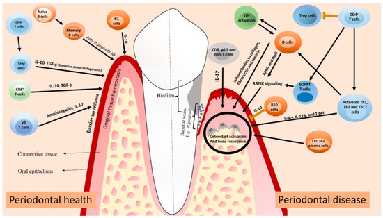 Green Alternatives as Antimicrobial Agents in Mitigating Periodontal ...