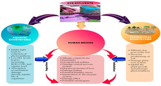 Investigating Bio-Inspired Degradation of Toxic Dyes Using Potential Multi-Enzyme Producing ...