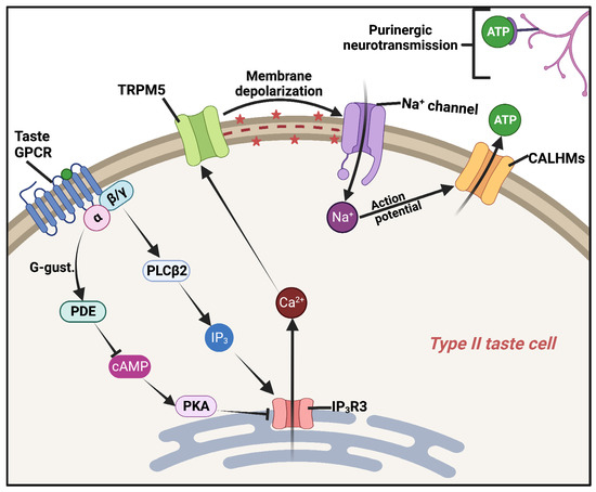 Interkingdom Detection of Bacterial Quorum-Sensing Molecules by ...