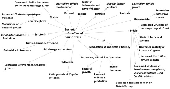 Amino Acid-Derived Bacterial Metabolites in the Colorectal Luminal ...