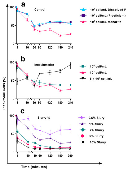 Klebsiella aerogenes Adhesion Behaviour during Biofilm Formation on ...
