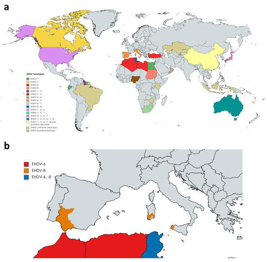Epizootic Hemorrhagic Disease Virus: Current Knowledge and Emerging ...