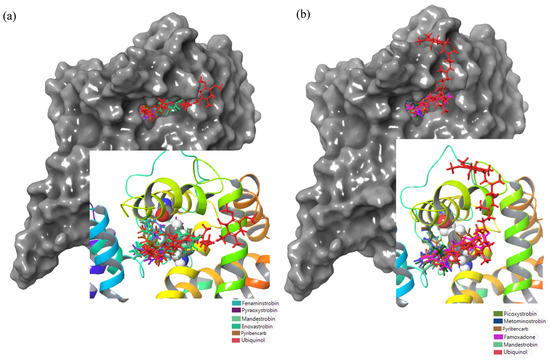 Identification of Fungicide Combinations Targeting Plasmopara viticola and Botrytis cinerea ...