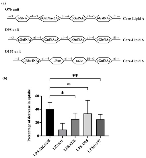 O-Polysaccharides of LPS Modulate E. coli Uptake by Acanthamoeba ...