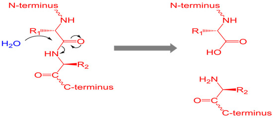 Roles of Cysteine Proteases in Biology and Pathogenesis of Parasites