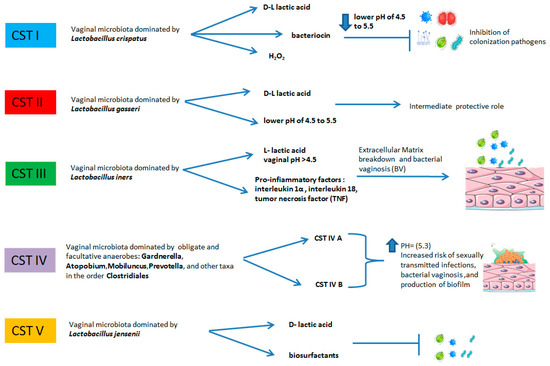The Impact of the Female Genital Microbiota on the Outcome of Assisted ...