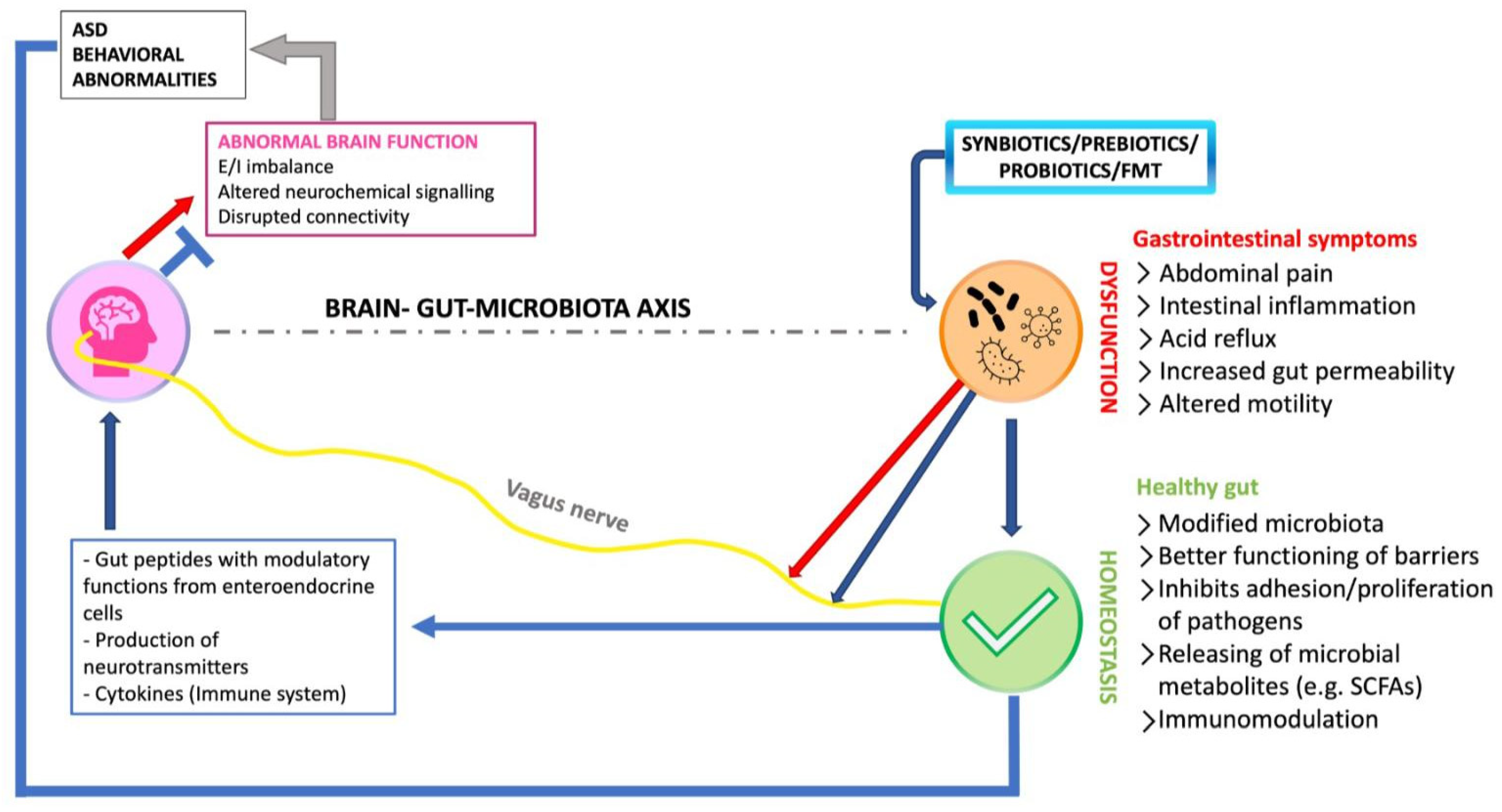 Microorganisms Free Full Text Interconnection Between Microbiota