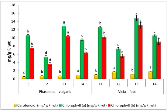 Efficient Role of Endophytic Aspergillus terreus in Biocontrol of ...