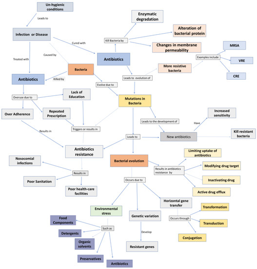 Microorganisms | Free Full-Text | Nanotechnology—A Light of Hope for ...