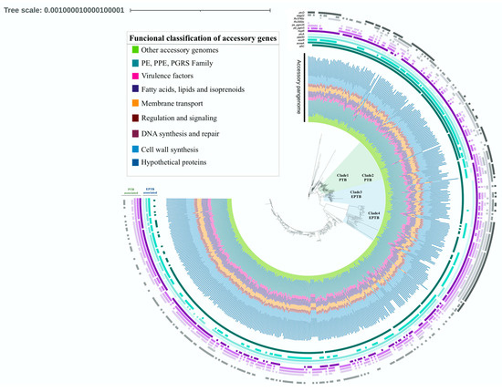Pangenome Reconstruction of Mycobacterium tuberculosis as a Guide to Reveal Genomic Features ...