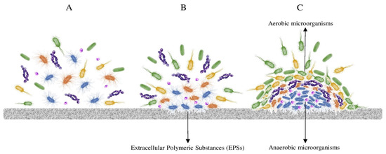 The Microbiome of Things: Appliances, Machines, and Devices Hosting ...