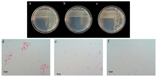 Bacterial Diversity Analysis and Screening for ACC Deaminase-Producing ...