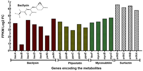 Microorganisms | Free Full-Text | Detection of Antagonistic Compounds ...