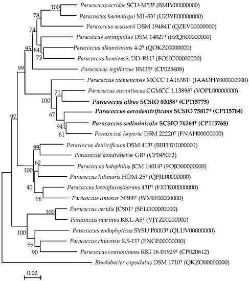 Three Novel Marine Species of Paracoccus, P. aerodenitrificans sp. nov ...