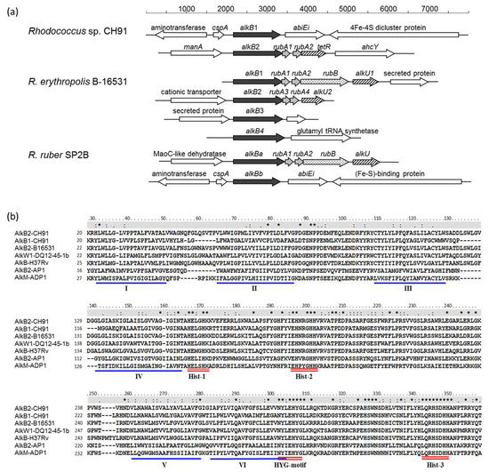 Functional Analysis of Novel alkB Genes Encoding Long-Chain n-Alkane ...