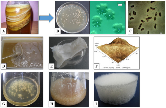 Exopolysaccharides Producing Bacteria: A Review