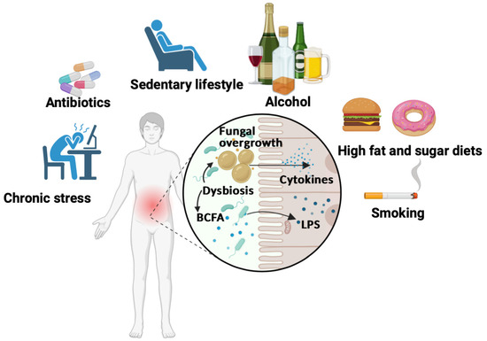 Healthy Diet and Lifestyle Improve the Gut Microbiota and Help Combat ...