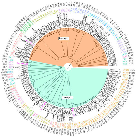 Microorganisms | Free Full-Text | Association of Virulence, Biofilm ...