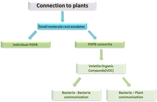 The Role of the Plant–Soil Relationship in Agricultural Production—With ...
