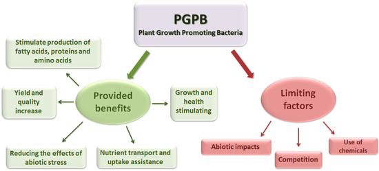 The Role of the Plant–Soil Relationship in Agricultural Production—With Particular Regard to ...