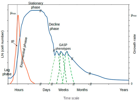 Microorganisms | Free Full-Text | Microbial Growth under Limiting ...