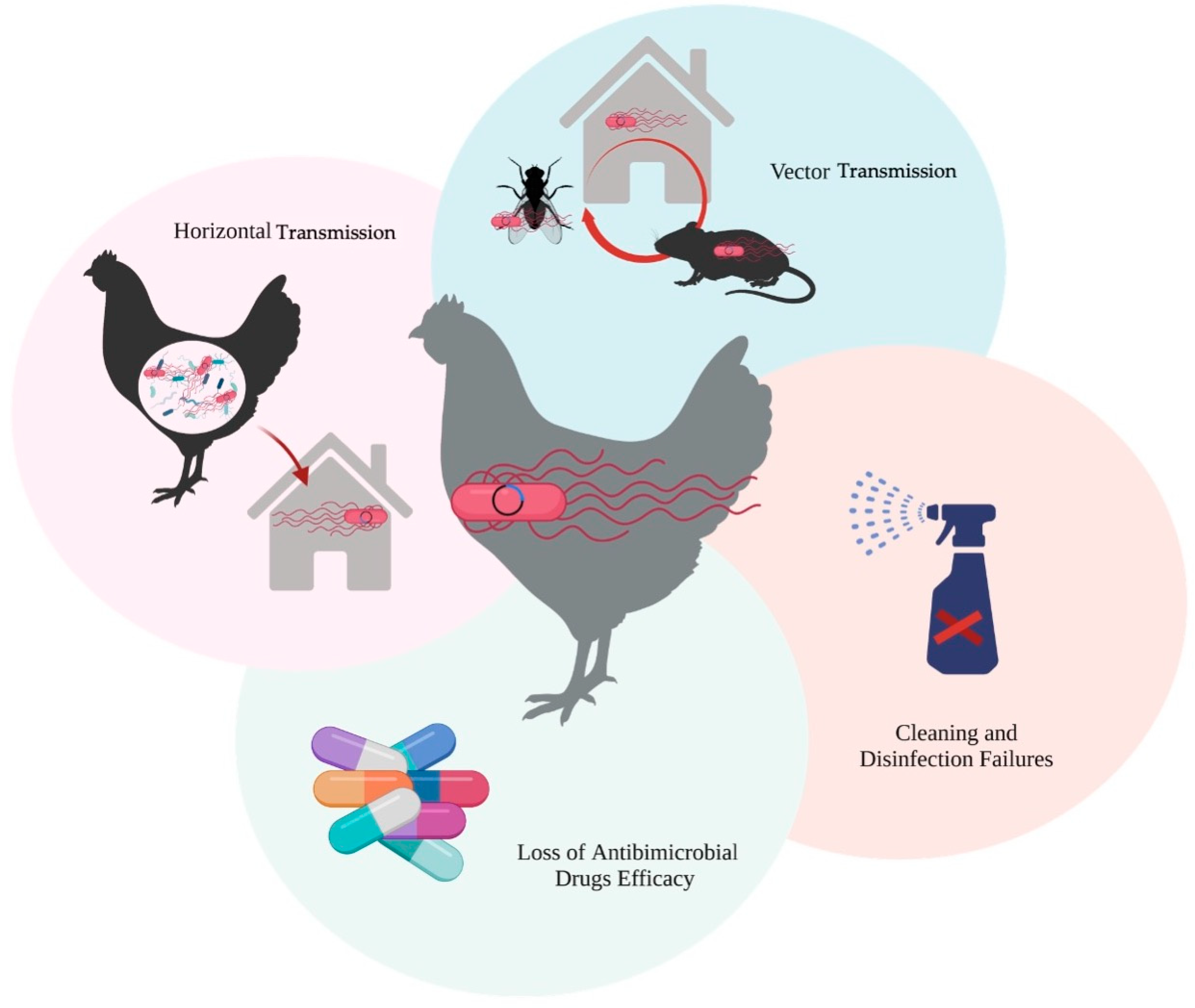 Holistic Strategies to Control Salmonella Infantis: An Emerging ...