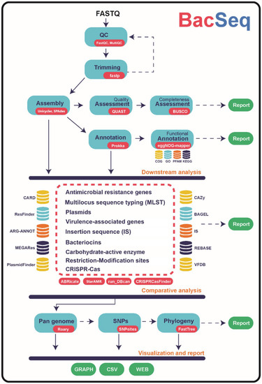 BacSeq: A User-Friendly Automated Pipeline for Whole-Genome Sequence Analysis of Bacterial Genomes