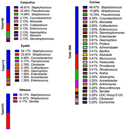 Ocular Bacterial Infections: A Ten-Year Survey and Review of Causative ...