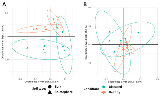 Changes in the Microbial Composition of the Rhizosphere of Hop Plants ...