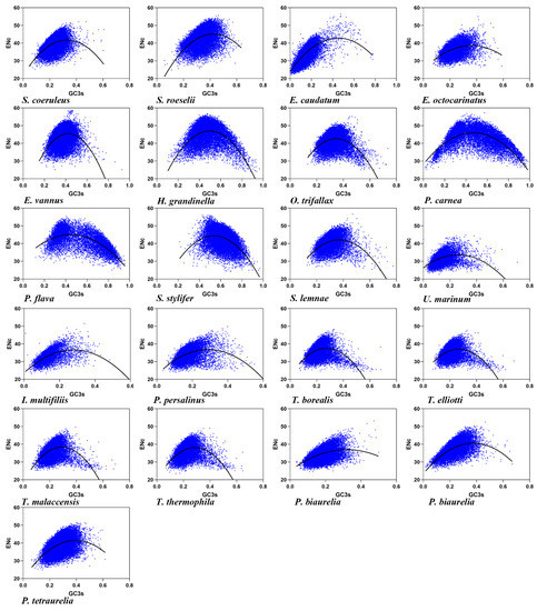 Codon Usage Bias Analysis in Macronuclear Genomes of Ciliated Protozoa