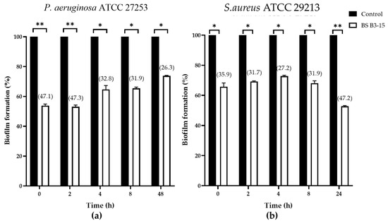 Lichenysin-like Polypeptide Production by Bacillus licheniformis B3-15 ...