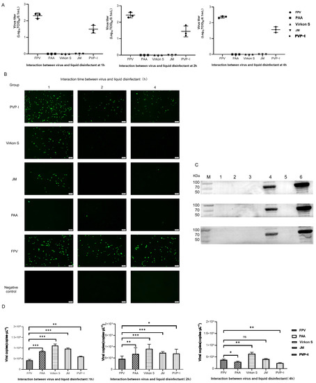 Evaluation of the Inactivation Efficacy of Four Disinfectants for ...