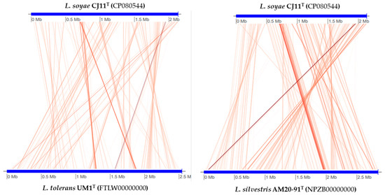 Microorganisms | Free Full-Text | Characterization and Antioxidant ...