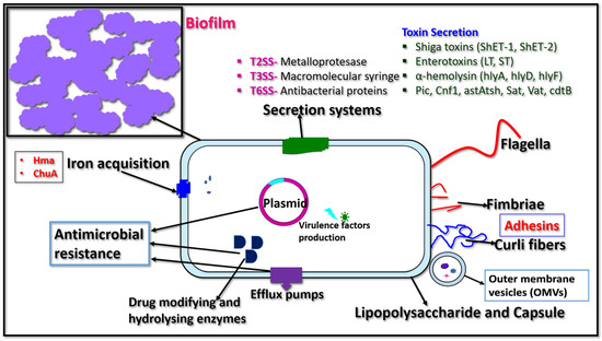 Updates on the Virulence Factors Produced by Multidrug-Resistant ...