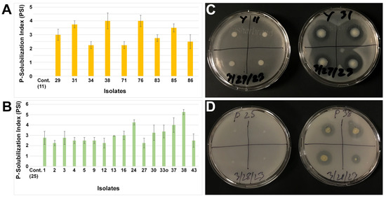 Isolation and Characterization of Bacterial Endophytes from Small ...